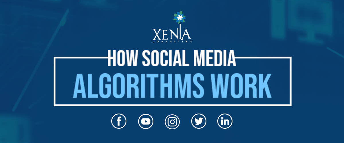 How social media algorithms work - Xenia Consulting